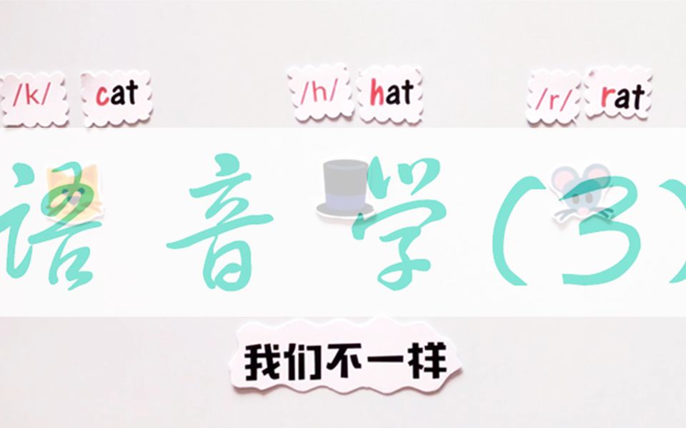 【十分语言学】语音学3丨音位&音位变体、超音段、音节