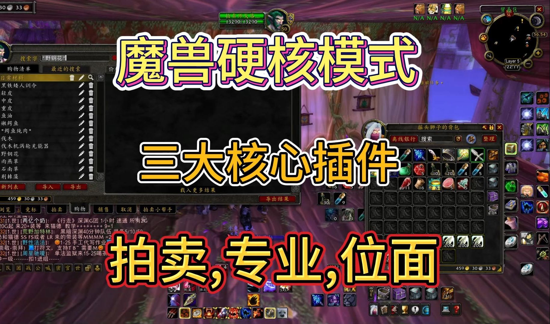 魔兽世界硬核模式 三大核心插件 拍卖,专业,位面_魔兽世界