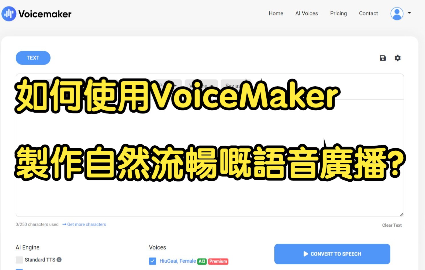 【TTS Online教學】如何使用Voicemaker將文本轉換為聲音檔案