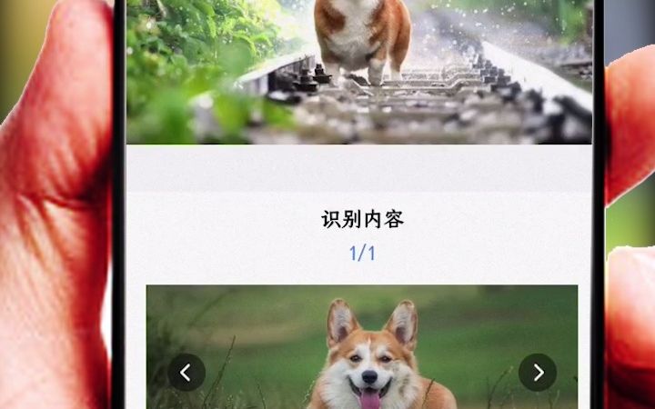 怎么给物体进行识别?十秒教会你物体识别的简单方法