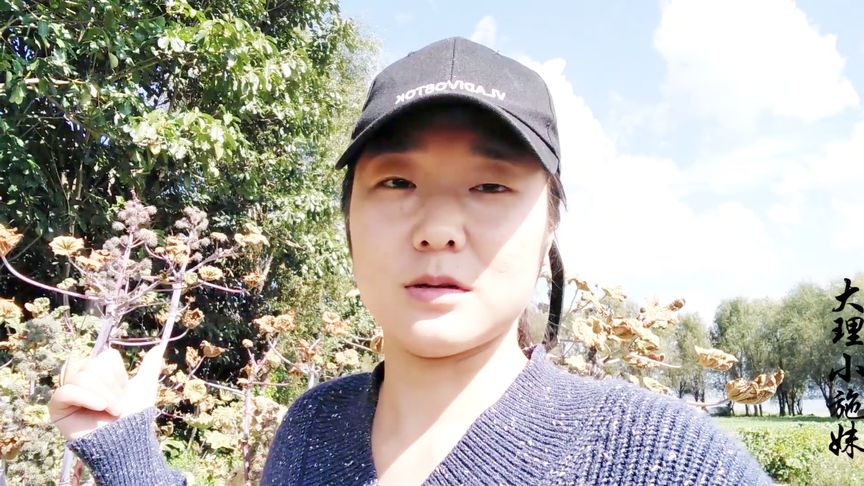 农村这种植物的叶子可以治病,但果实会引起中毒,小孩经常误食!