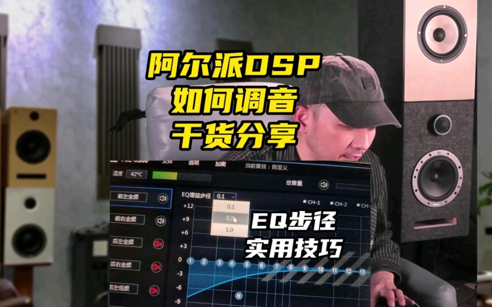 DSP调音知识 阿尔派DSP如何调音,干货分享 #汽车音响调音