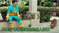 外卖小哥和流浪狗的暖心守护,最终彼此信任,故事太感人