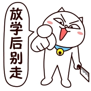 石林老师公开课 