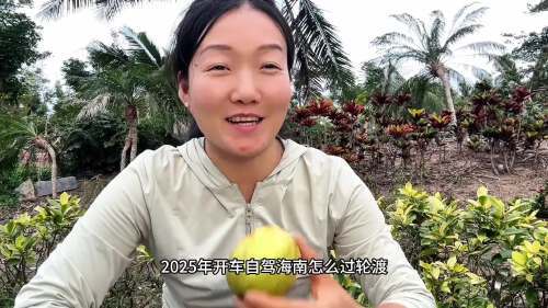 一妈一娃郑州自驾海南,分享5年最新自驾海南如何轮渡过海