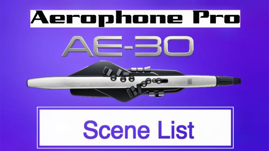 内置音色表解读 罗兰旗舰电吹管Aerophone Pro AE30 [安颐爸爸说]