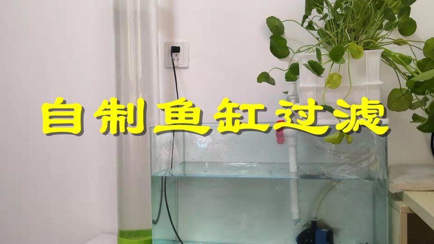 DIY鱼缸过滤盒,周转箱加水管改装的植物过滤,既美观又实用!