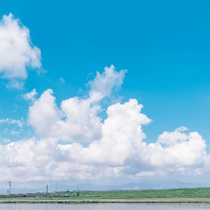 晓静追风 