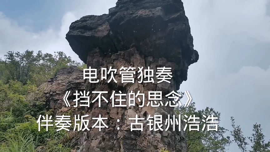 电吹管独奏《挡不住的思念》,伴奏版本:古银州浩浩。