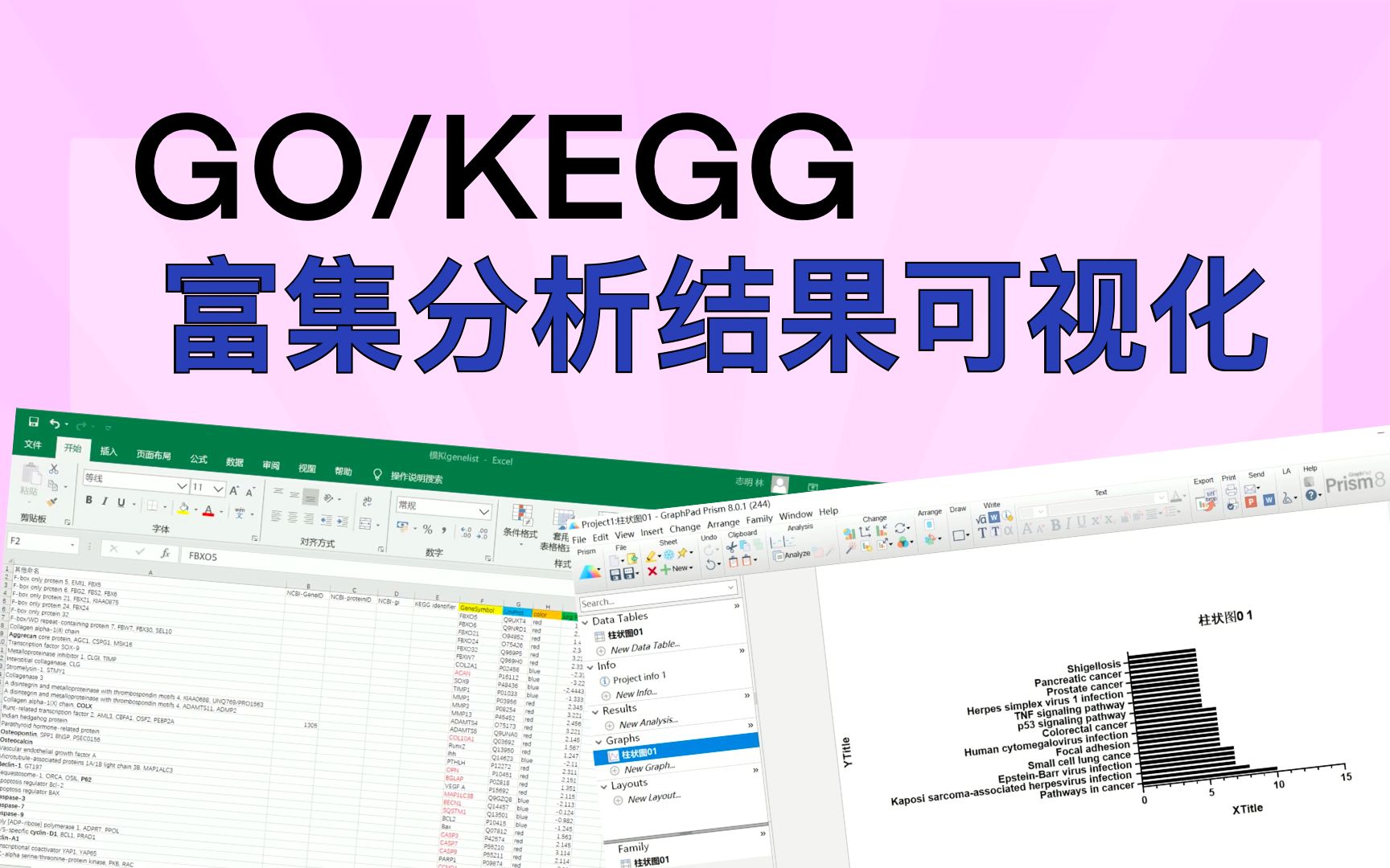 【简介区免费领课】【医学小白快速入门】GO/KEGG富集分析重难点...