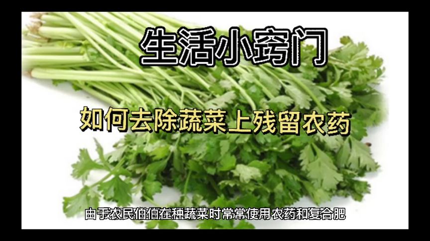 如何去处蔬菜上残留农药