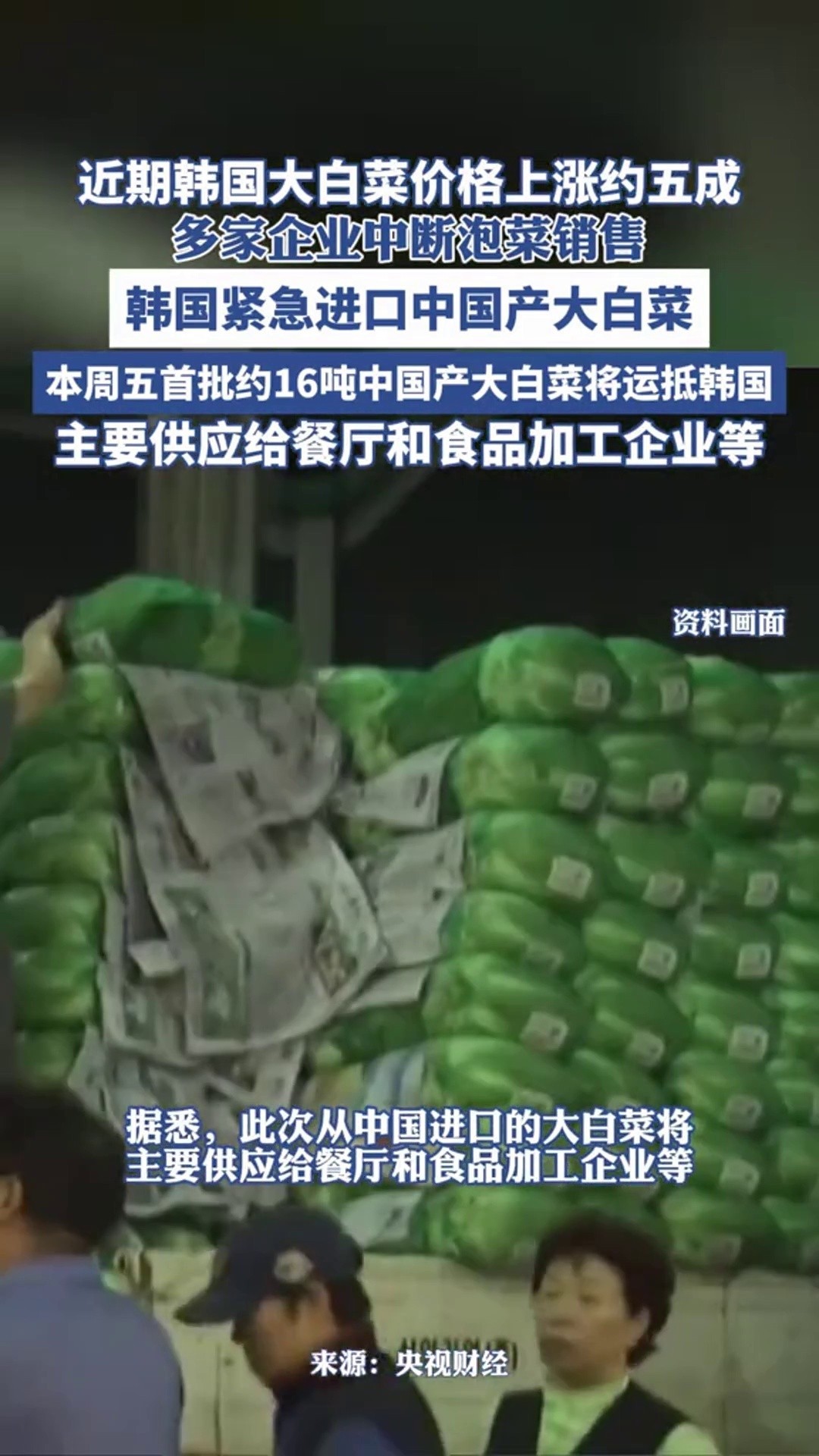 近期韩国大白菜价格上涨约五成 ,韩国多家企业中断泡菜销售,韩国紧急...