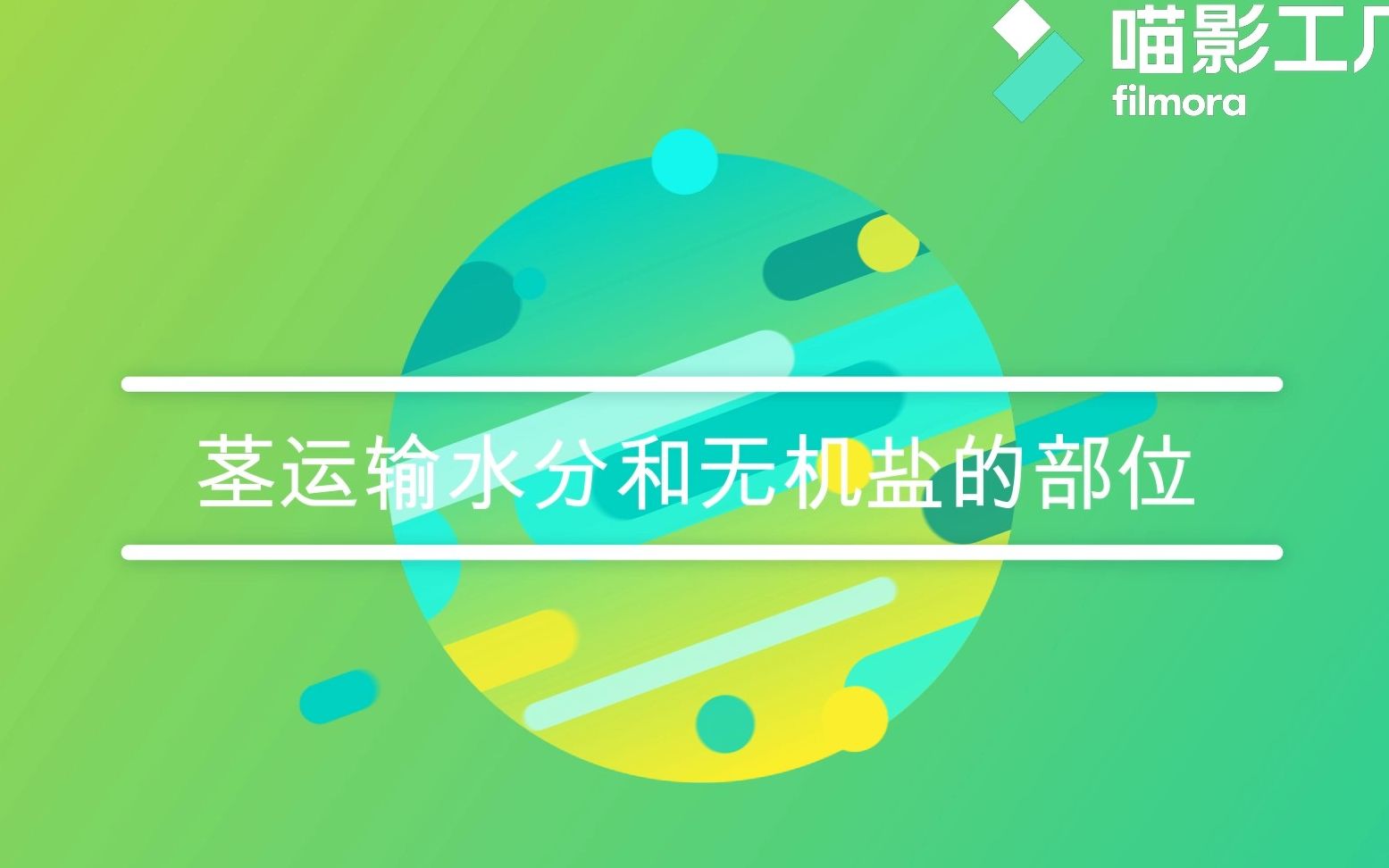 茎运输水分和无机盐的部位实验探究
