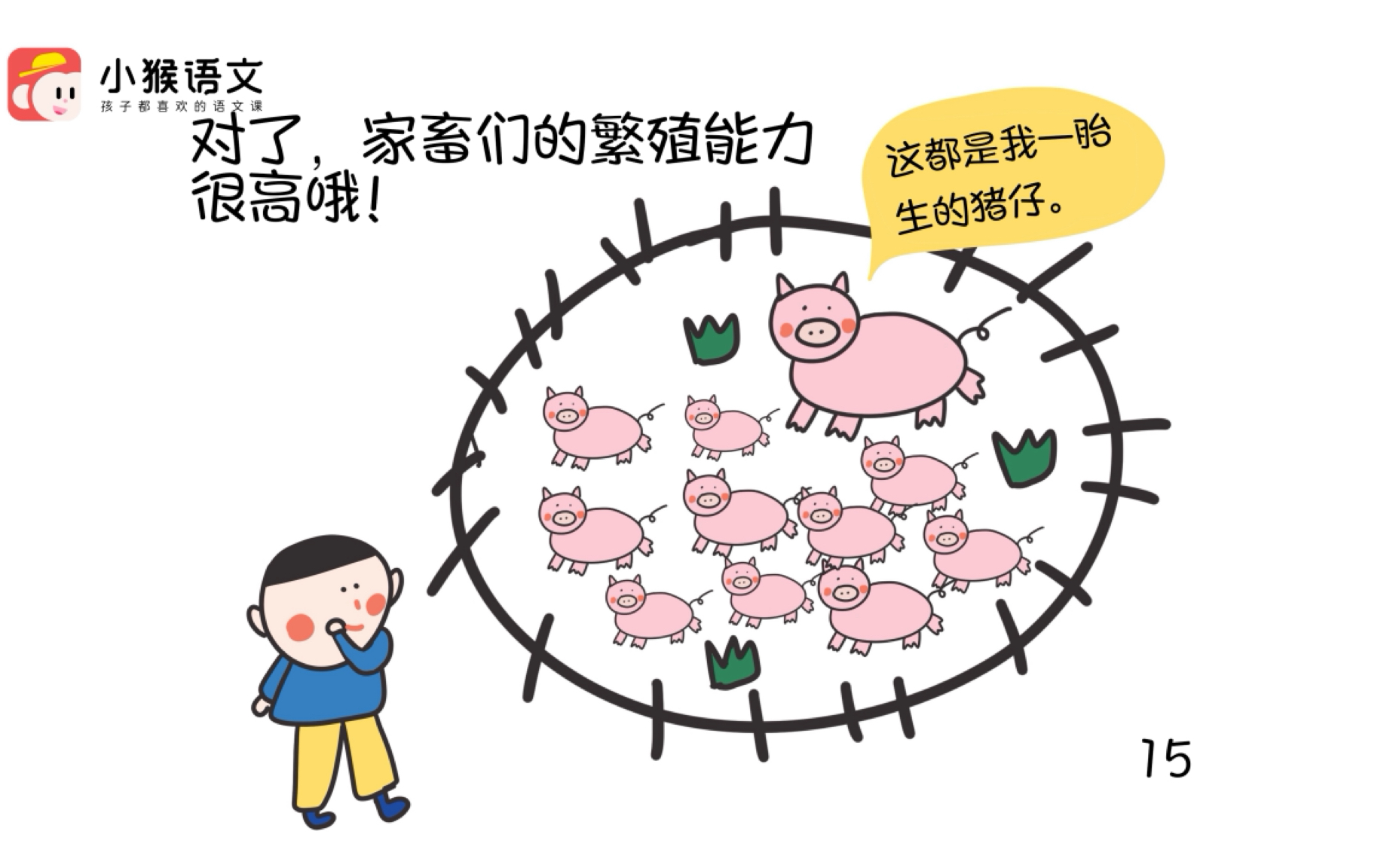 《什么是野生动物》超有趣的绘本讲解