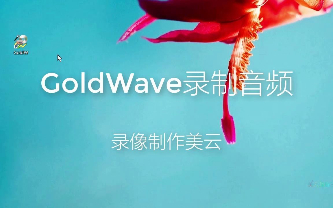 如何使用GoldWave录制声音