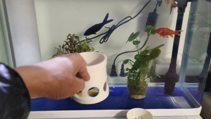 006闲记 老缸底砂太脏了,翻新, 过滤系统改造和造景重做一遍。