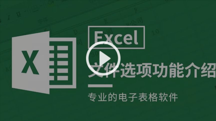 第2讲excel文件选项功能介绍