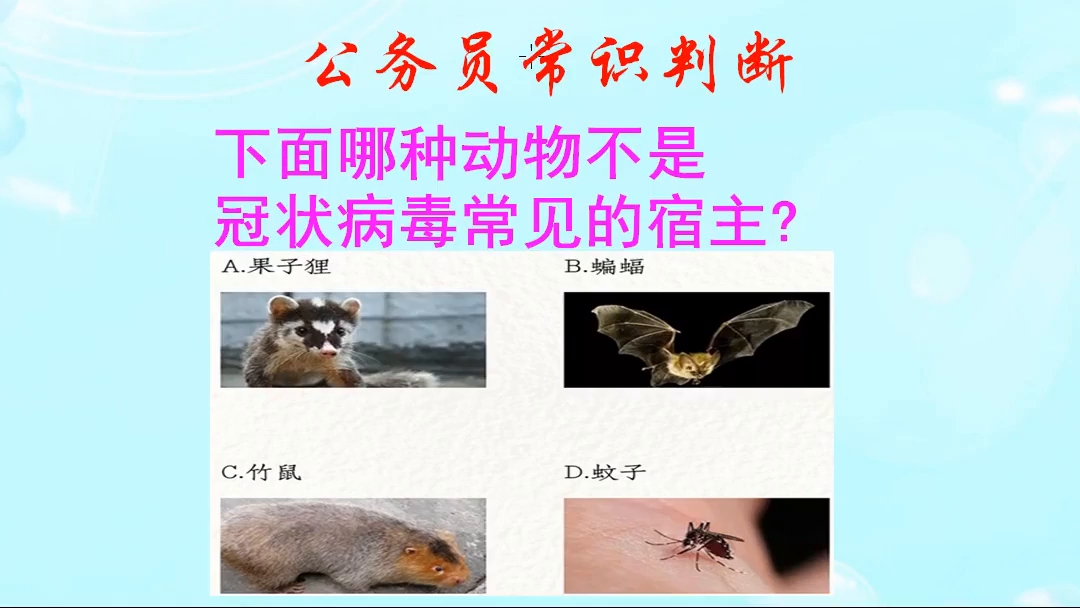 公务员常识判断,哪种动物不是冠状病毒常见的宿主呢