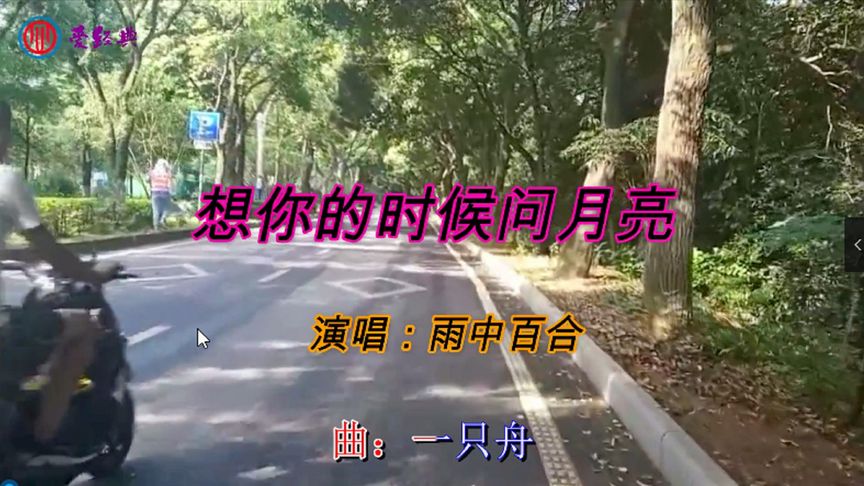 亲爱的你不知现在怎样,(想你的时候问月亮),经典伤感催泪情歌