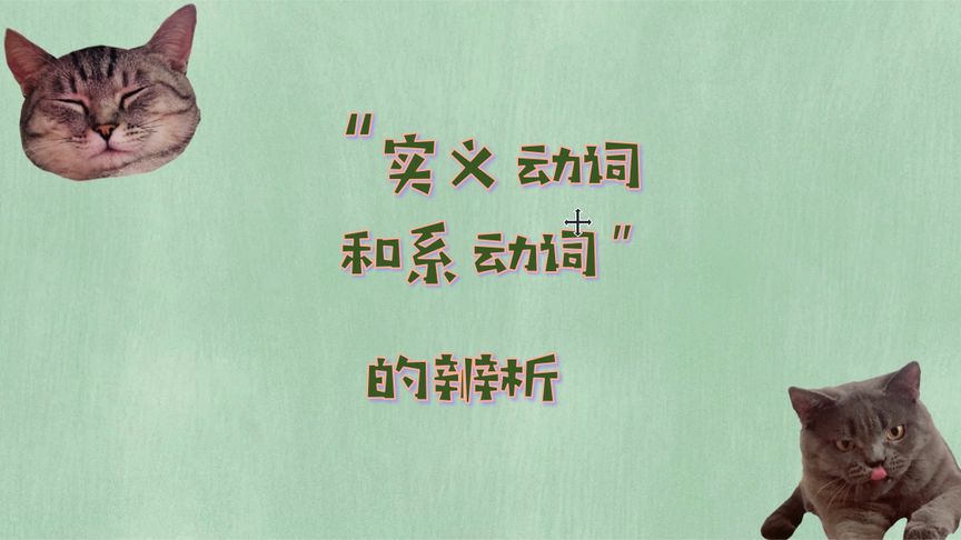 快速理解实义动词和系动词的区别#学英语