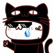黑猫的泪水 
