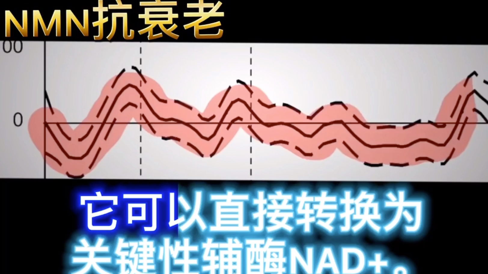 NMN是什么鬼,nmn的功效与作用,看过来!