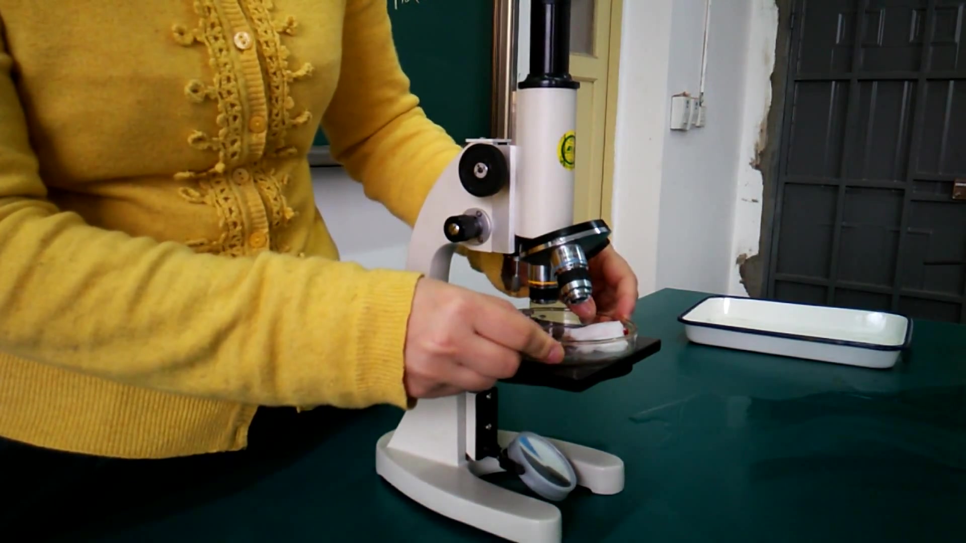 实验五观察小鱼尾鳍的血液流动