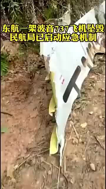 .-广州航班任务时,于梧州上空失联,已确认该飞机坠毁。目前,广西消防.