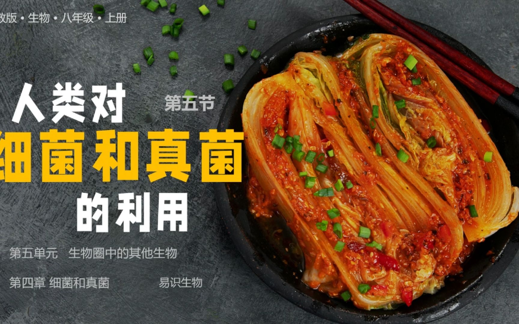 初中生物·人类对细菌和真菌的利用_课件研究所
