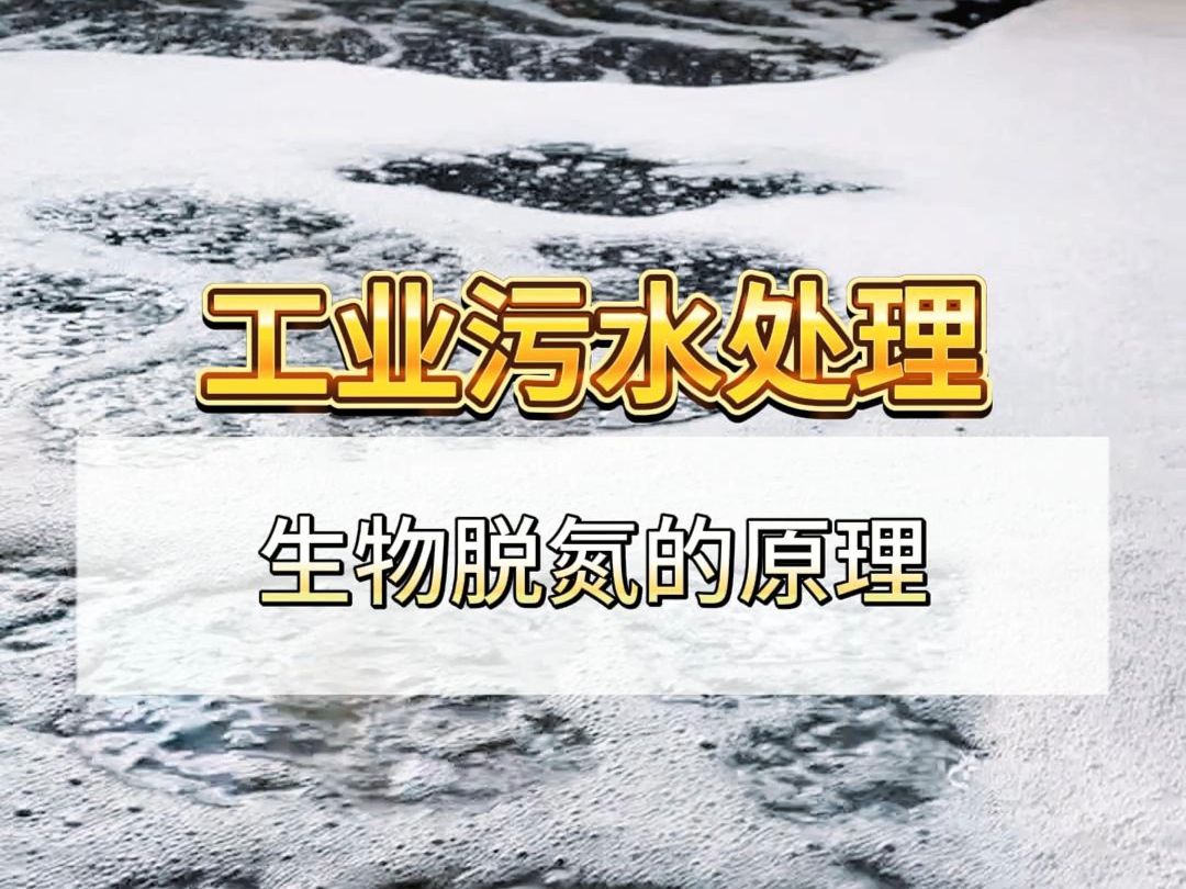 工业污水处理:污水处理中的生物脱氮的原理解析(氨化—硝化—反硝化)