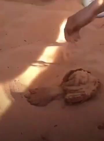 羚羊谷的终极奥义 科普 山谷 沙漠 美国