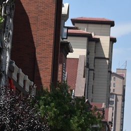 石榴跟班 