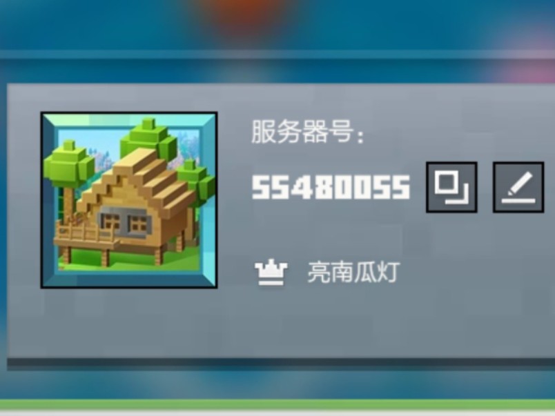 我的世界好玩的生存服务器,服务器号55480055