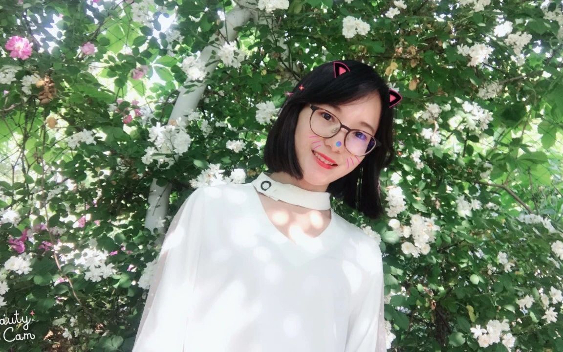 关于公众号搜索功能【翘翘日志】