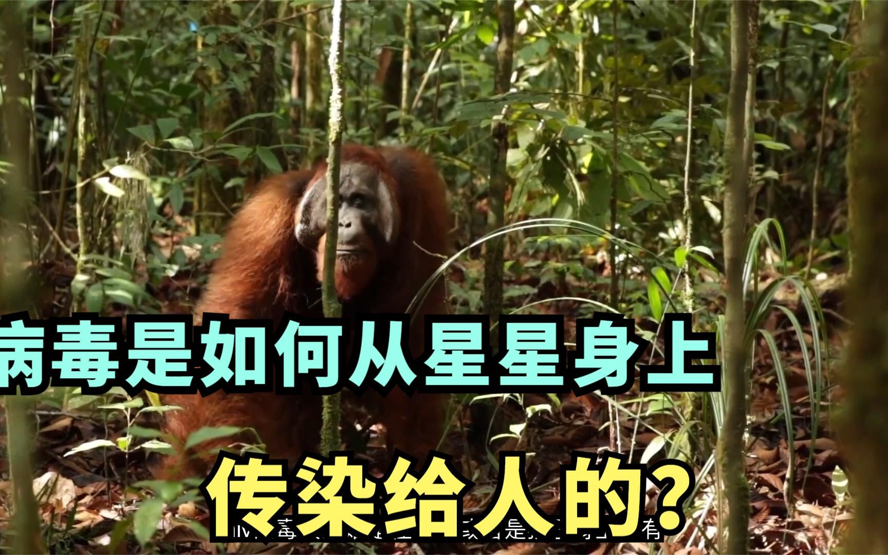 HIV病毒暴露后几分钟就会没有活性,那它是如何传染给人的