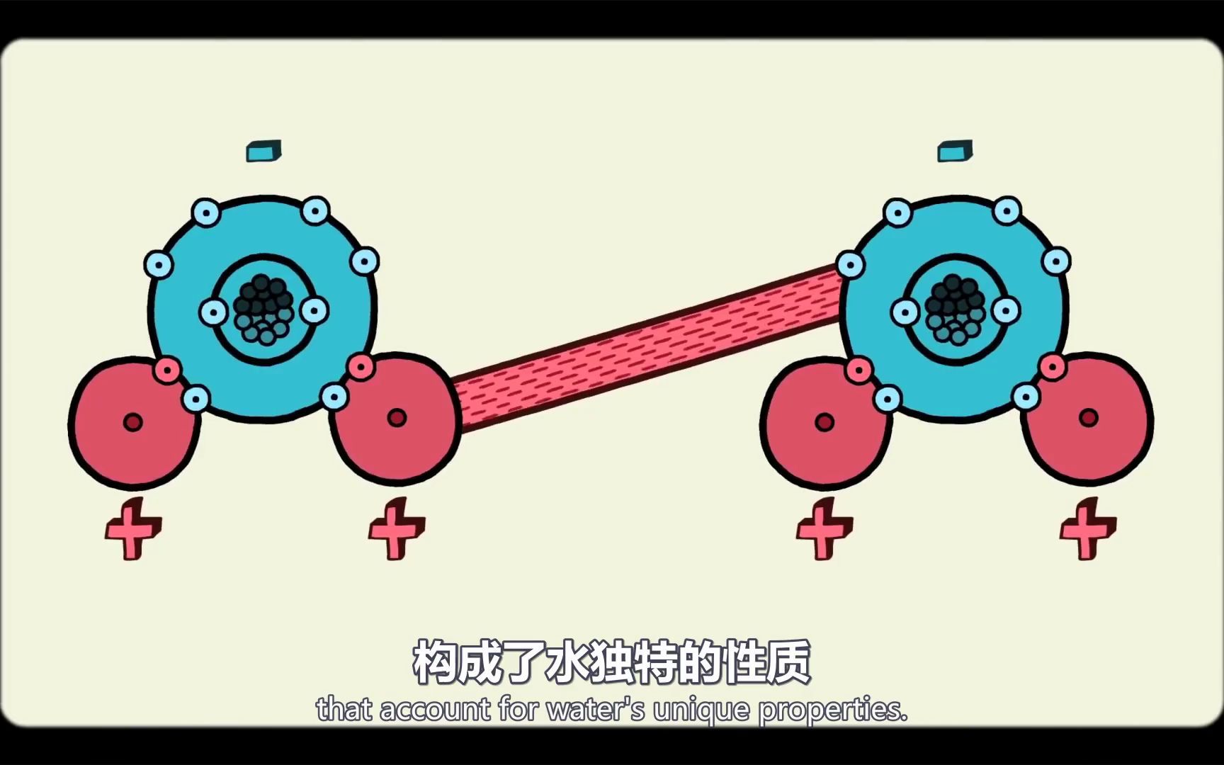 TED科普:极性如何让水变得特殊