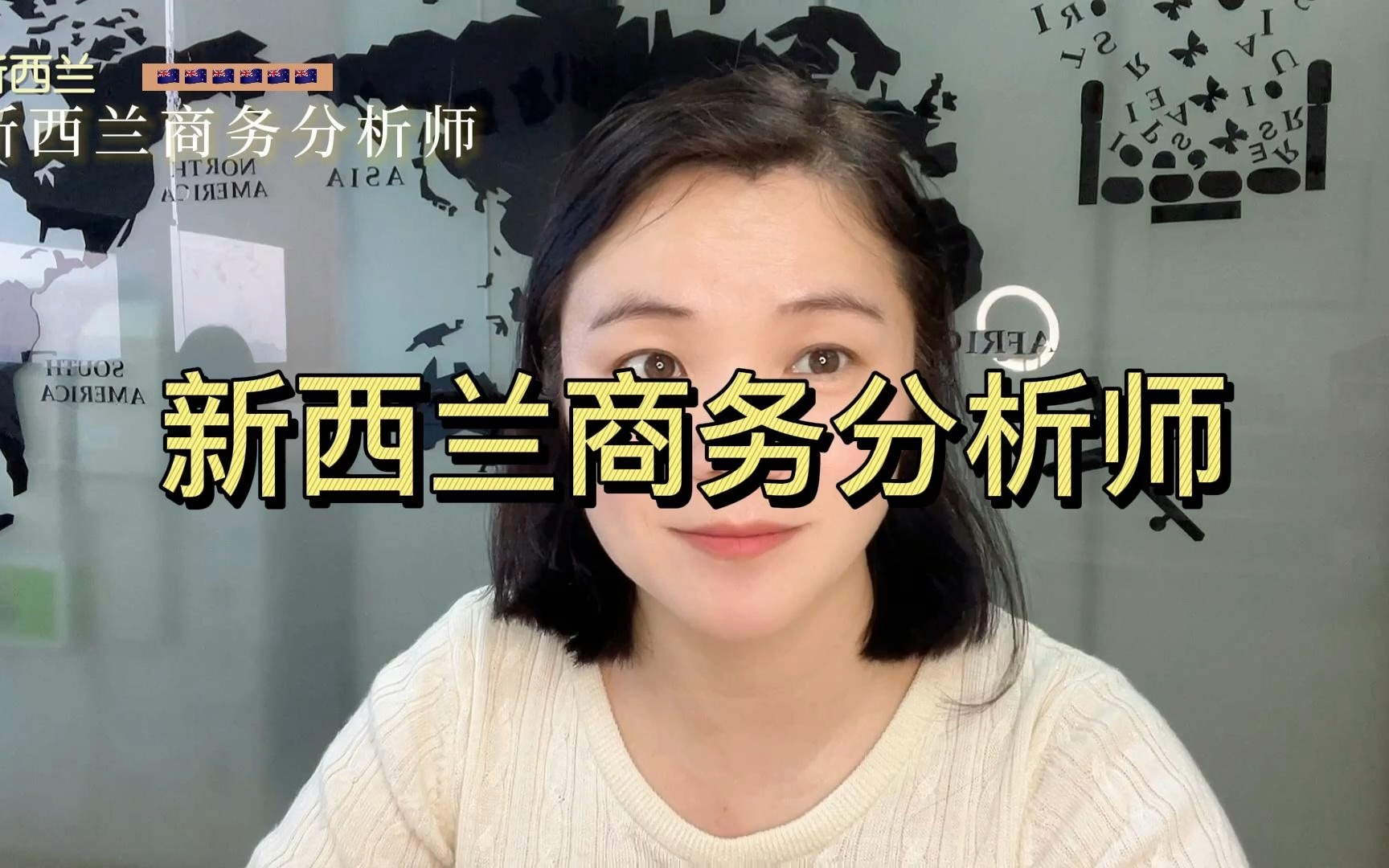 新西兰商务分析师