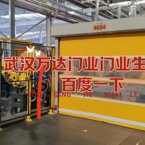 武汉万达门业厂家 