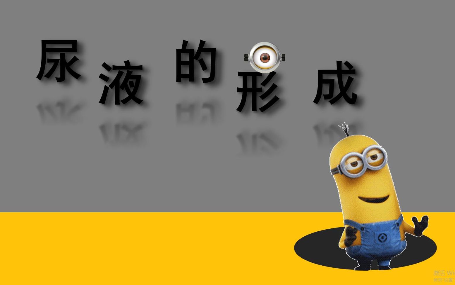 尿液的形成-初中人教版