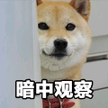 大家是单机 