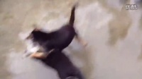 土狗斗狗视频斗狗疯狂撕咬打斗