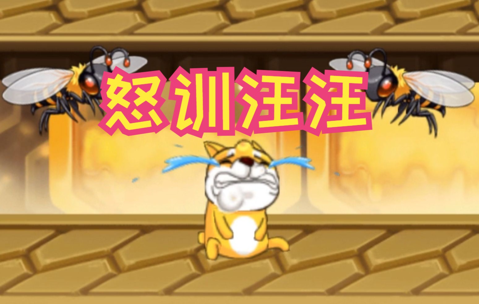 【造梦无双】汪汪为了女神竟._造梦无双