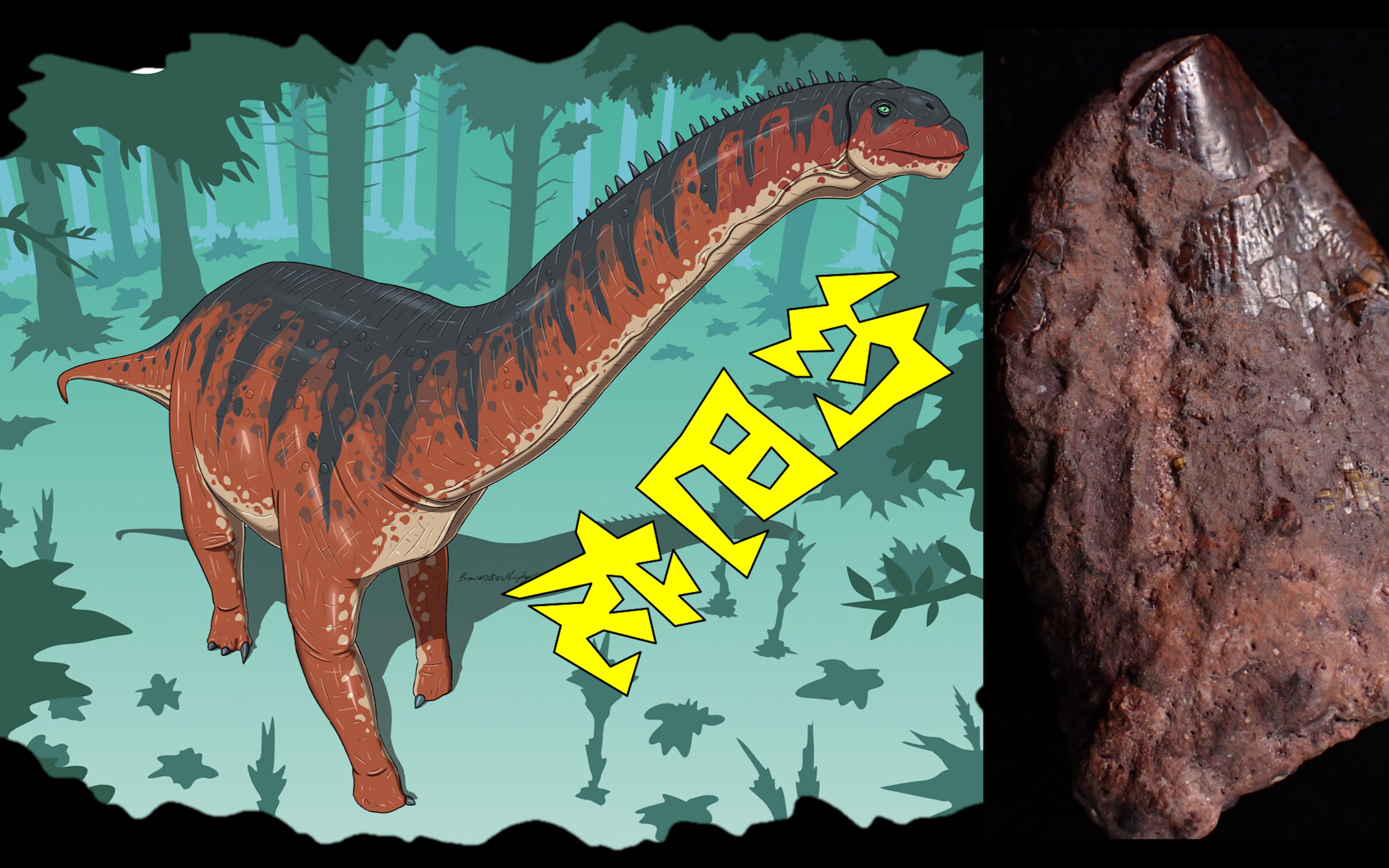 最完整的蜥脚类恐龙,1.6亿年前留下了95%的巨头-约巴龙