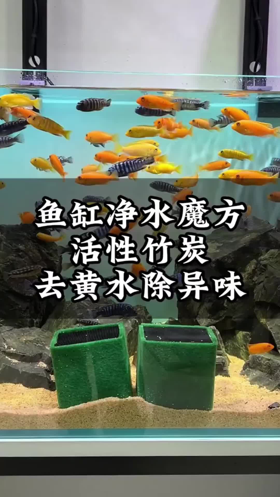 ...放在鱼缸里就可以让你的鱼缸水质清澈透亮#净水魔方#活性炭净水#...