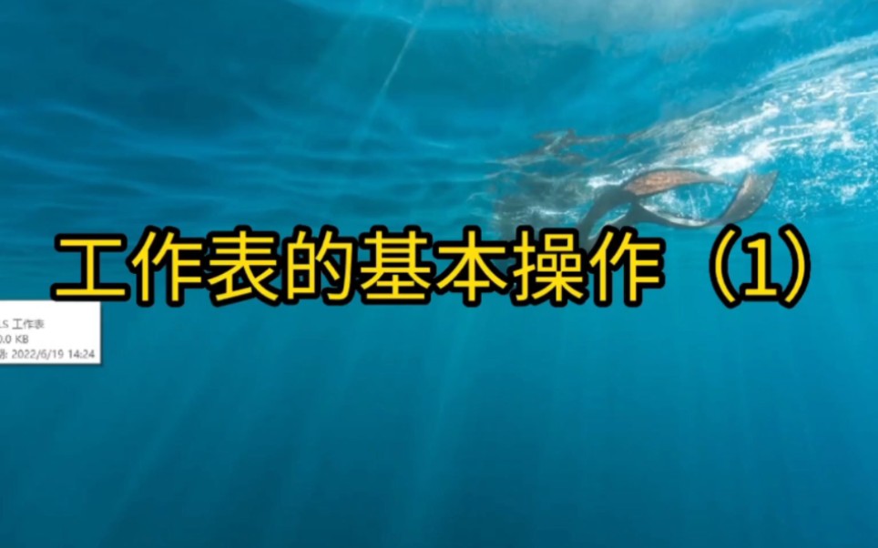 工作表的基本操作(1)