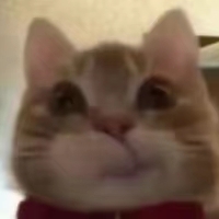 王小毛2 