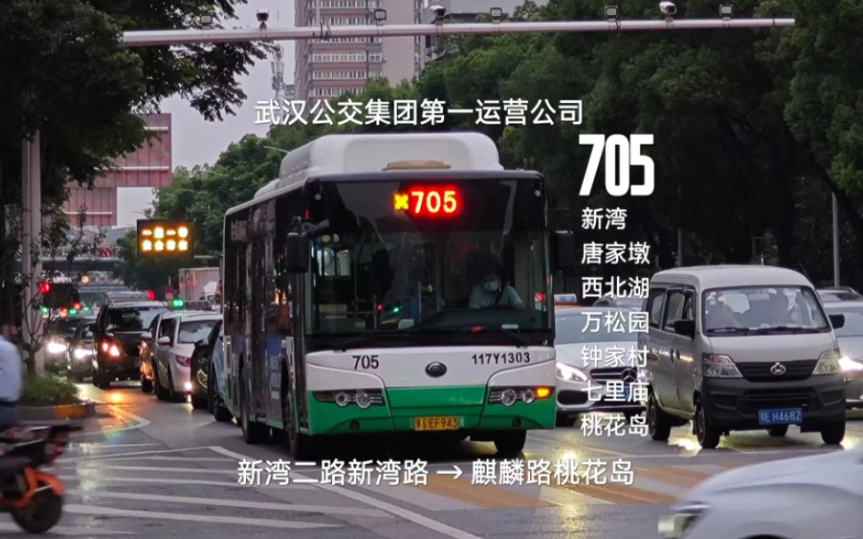 【"慢"游三十五里残雪地】【4K60】武汉公交705路 新湾→桃花岛 ...