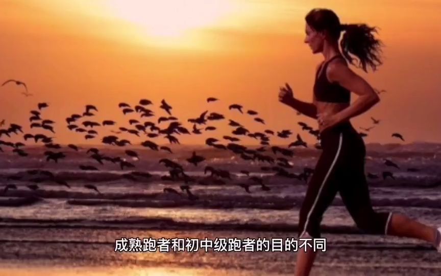 适合不同水平大众跑者的最佳训练模式:321训练法