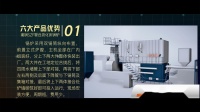 SZF燃生物质复合流化床锅炉