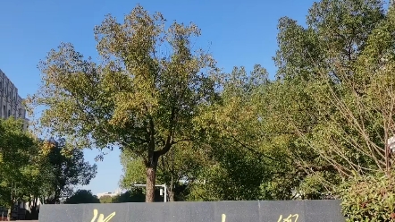 复旦大学,VR设备应用于实际教学的案例#vr设备厂家 #vr科普 #VR教学